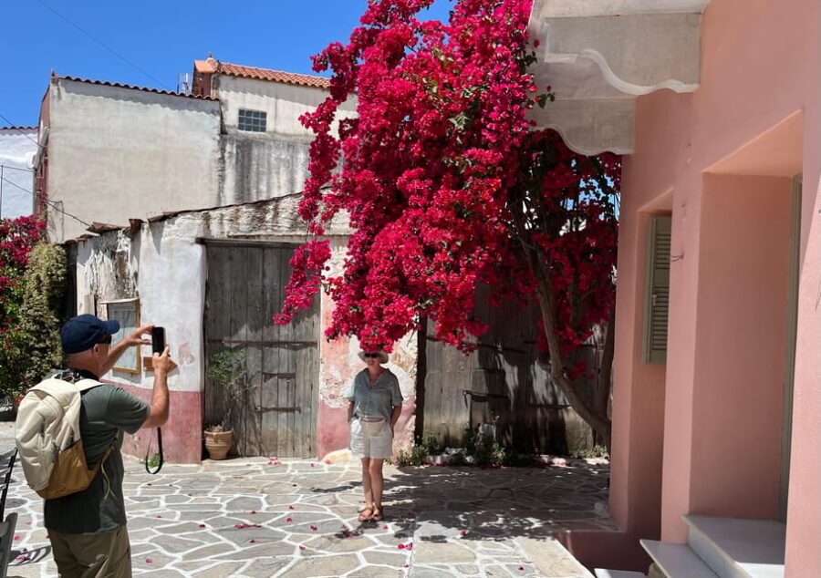 Naxos: Island Tour with Private Car and Driver - Who is This Tour Best For?