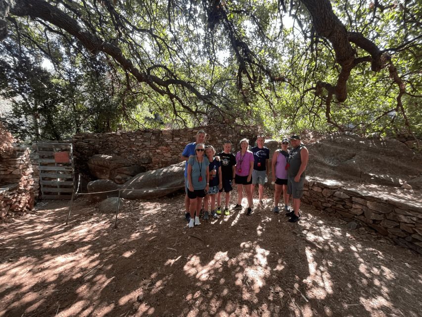 Naxos: Private E-Bike Tour with Farm Lunch - The Value of the Tour