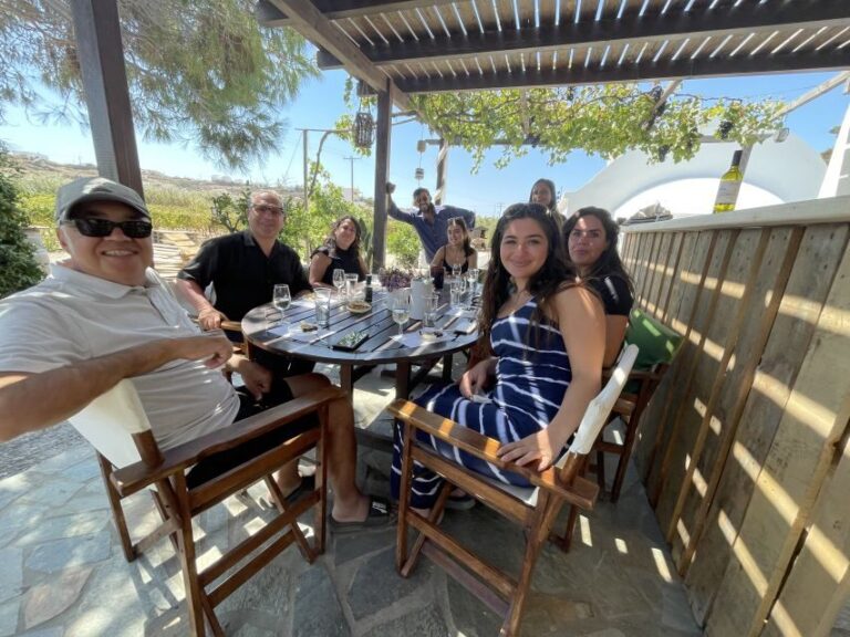 Naxos: Private Vineyard Tour & Wine Tasting with an Expert - Who Will Get the Most Out of This Tour?