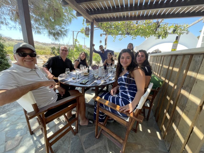 Naxos: Private Vineyard Tour & Wine Tasting with an Expert - Who Will Get the Most Out of This Tour?