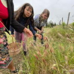 Near Cagliari: Wild Herbs and Healing at "In Our Garden" - A Closer Look at the Experience