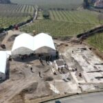 Negrar: Roman Villa Mosaics Tour & Valpolicella Wine Tasting - Who Will Love This Tour?