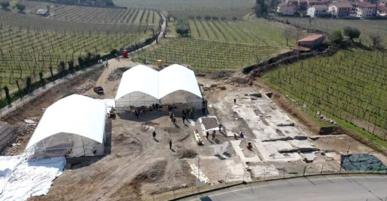 Negrar: Roman Villa Mosaics Tour & Valpolicella Wine Tasting - Who Will Love This Tour?