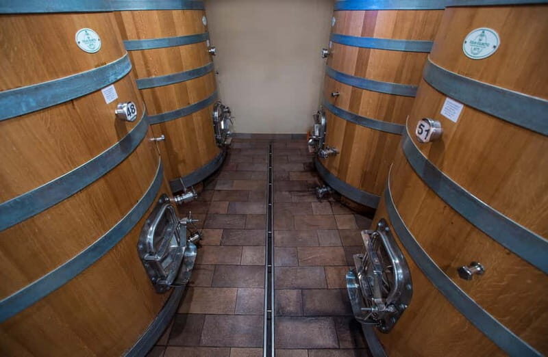 NEIVE: WINERY TOUR AND TASTING 5 WINES - An In-Depth Look at the Neive Winery Tour and Tasting