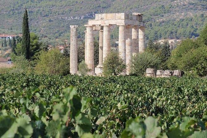 Nemea wine roads, The most famous wine tour in Greece - Introduction