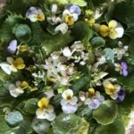 Nemi: Herb Harvesting and Cooking Class Experience - Exploring the Nemi Herb & Cooking Experience in Detail