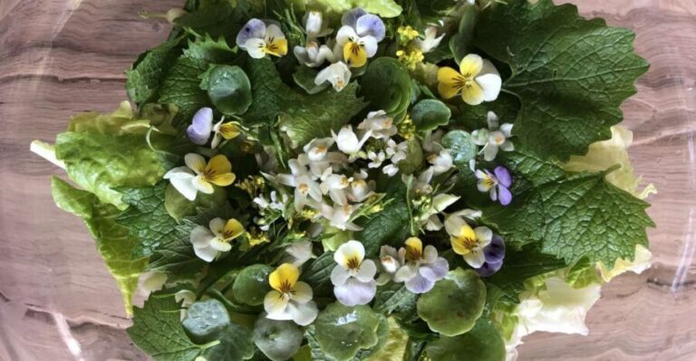 Nemi: Herb Harvesting and Cooking Class Experience - Exploring the Nemi Herb & Cooking Experience in Detail
