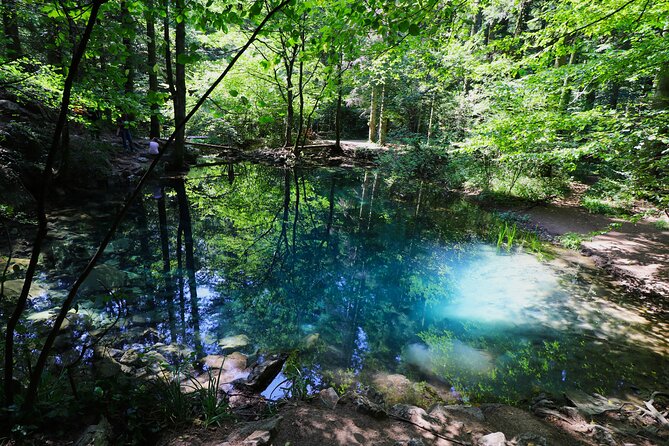 Nera Gorge National Park - Private Day Tour from Timisoara - Exploring the Nera Gorge National Park: An Authentic Day Trip from Timisoara