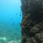 Nerja: Cliffs of Maro-Cerro Gordo Paddle-SUP Rental - Assessing Value: What’s Included and What’s Not