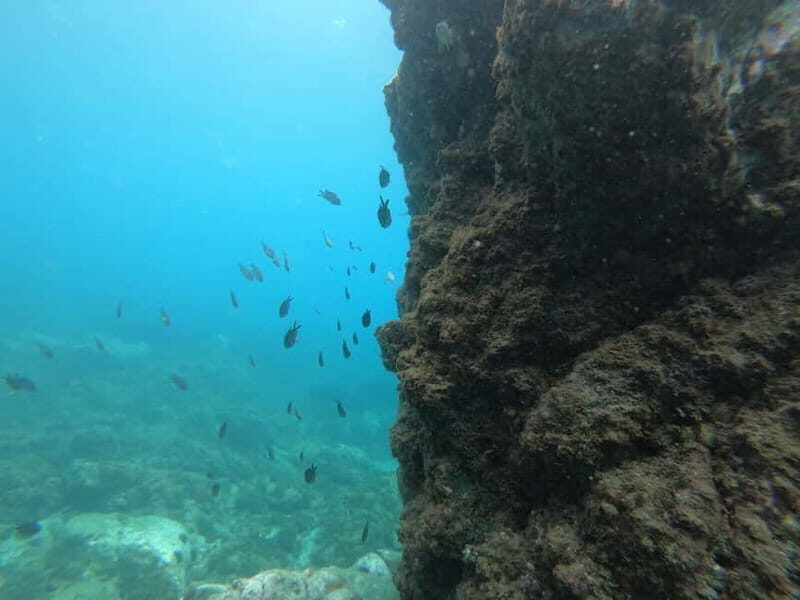 Nerja: Cliffs of Maro-Cerro Gordo Paddle-SUP Rental - Assessing Value: What’s Included and What’s Not