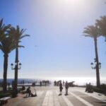 Nerja, Frigiliana & El Acebuchal: Full-Day Semi-Private Tour - The Practical Bottom Line