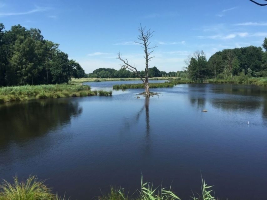 Nettetal: Krickenbecker Lakes, Forest & Castle Segway Tour - The Highlights of the Tour