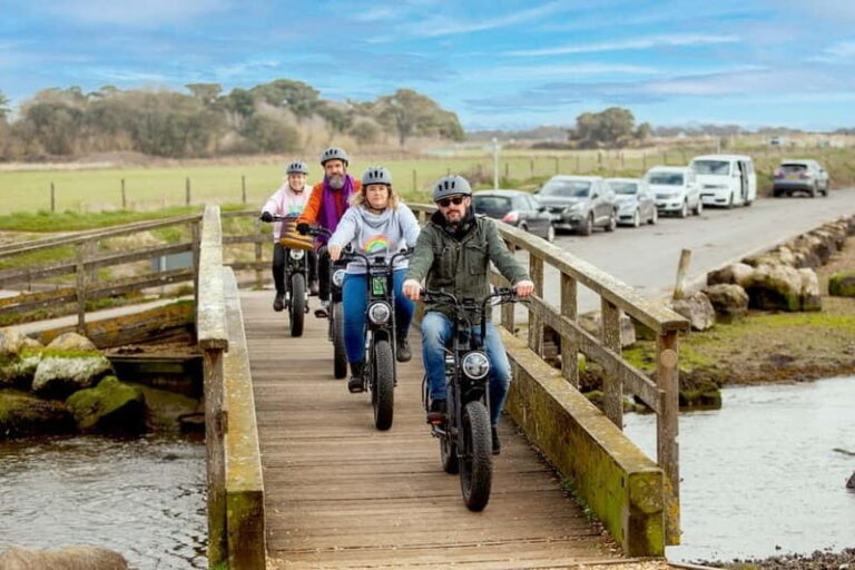 New Forest: E-Bike Pedal & Puzzle Escape Adventure - Value and Practical Aspects