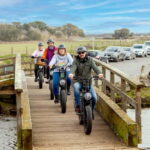 New Forest National Park: Full-Day E-Bike Rental - The Sum Up
