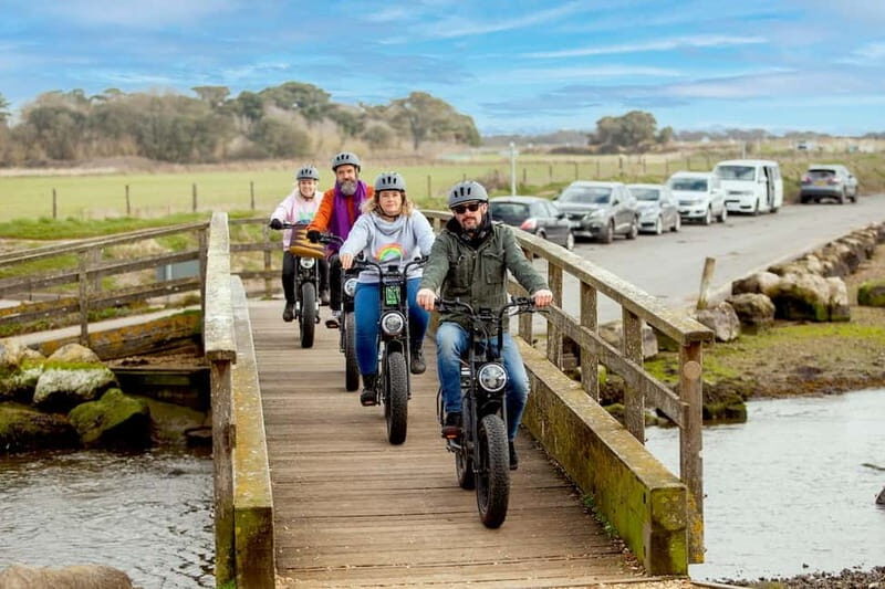 New Forest National Park: Full-Day E-Bike Rental - The Sum Up