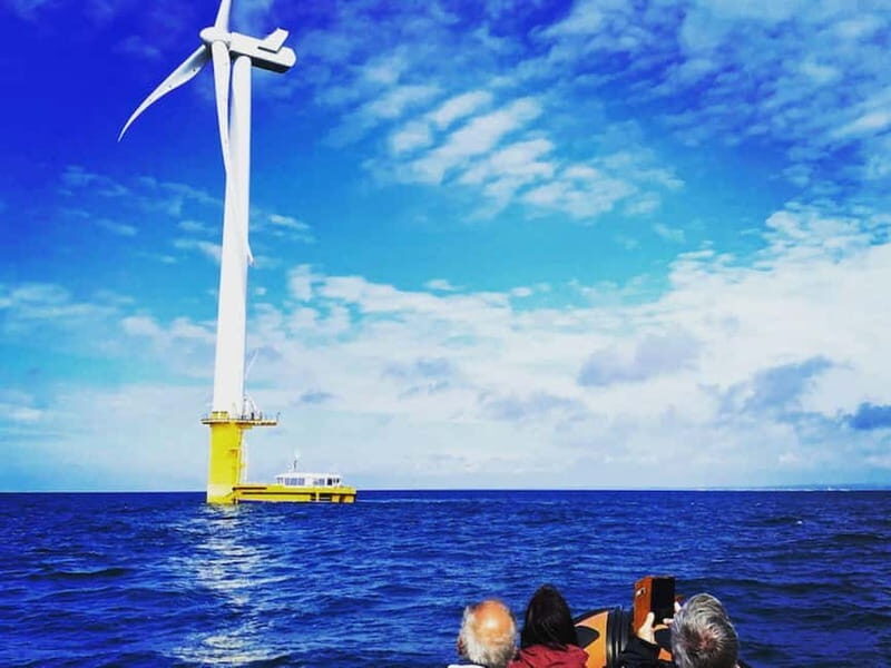 Newhaven: Rampion Offshore Wind Farm Boat Tour - What to Expect on the Day