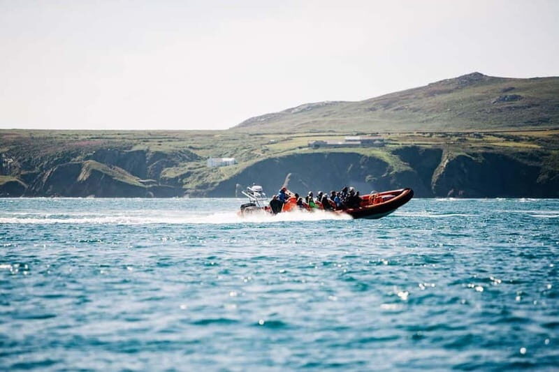 Newhaven: Seven Sisters and Birling Gap Boat Tour - Wildlife Watching: An Added Excitement