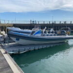 Newhaven: Seven Sisters Rapid RIB Rock & Roll Ride - Practical Tips for Your Ride