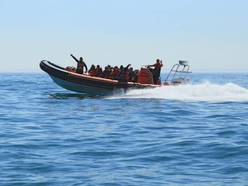 Newhaven: Three Zero Seaford Bay Speedboat Ride - The Value of This Experience
