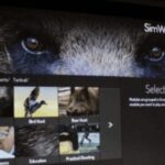 Newton Abbot: Simulator - What to Expect from the Shooting Simulator Experience
