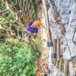 Nice: Adventure park in an exceptional natural setting - The Tree Courses and Activities