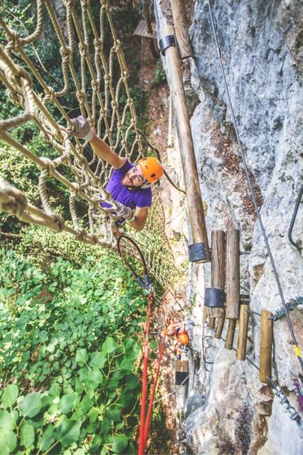 Nice: Adventure park in an exceptional natural setting - The Tree Courses and Activities
