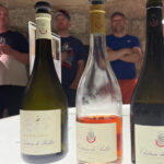 Nice: Bellet Vineyards E-Bike Tour with Wine Tasting - The Practicalities: What to Expect and How to Prepare