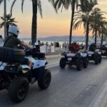 NICE BY ELECTRIC QUAD:panoramic tour from Nice - Key Points