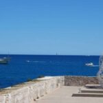 Nice: Cannes, Antibes & St Paul de Vence Half-Day Tour - The Practicalities: What You Need to Know