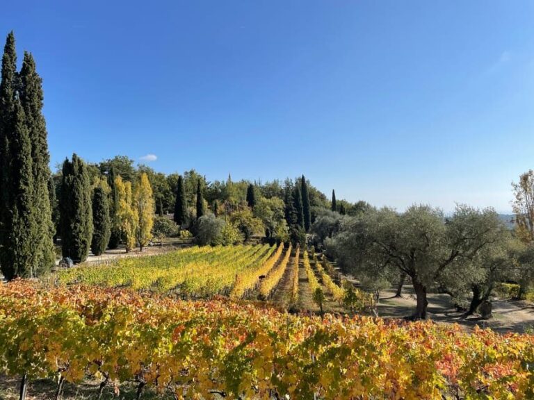 Nice: Full-Day Côtes de Provence Wine Tour - A Day in the Provence Countryside