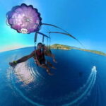 Nice: Parasailing Adventure with French Riviera Views - Who Will Love This Tour?
