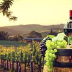 Nice: Provence Village Tour with Wine and Produce Tasting - The Villages and Scenic Highlights