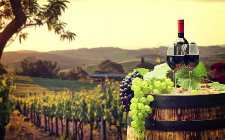 Nice: Provence Village Tour with Wine and Produce Tasting - The Villages and Scenic Highlights