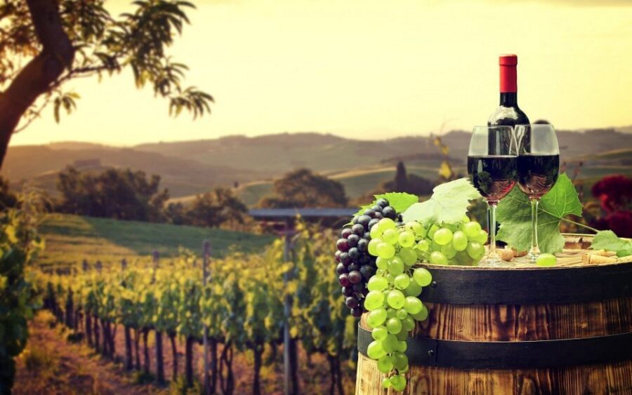 Nice: Provence Village Tour with Wine and Produce Tasting - The Villages and Scenic Highlights