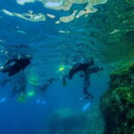 Nice: Snorkeling Speedboat Tour in Villefranche Bay - What to Expect from the Experience