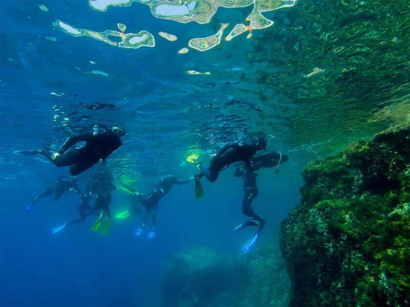 Nice: Snorkeling Speedboat Tour in Villefranche Bay - What to Expect from the Experience