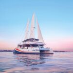 Nice : The Morning Discovery at Sea, Guided tour of the coastline on a Catamaran - What Really Makes This Tour Stand Out