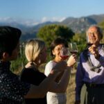 Nice: Vineyard Tour with Wine Tasting - Why This Tour Offers Good Value