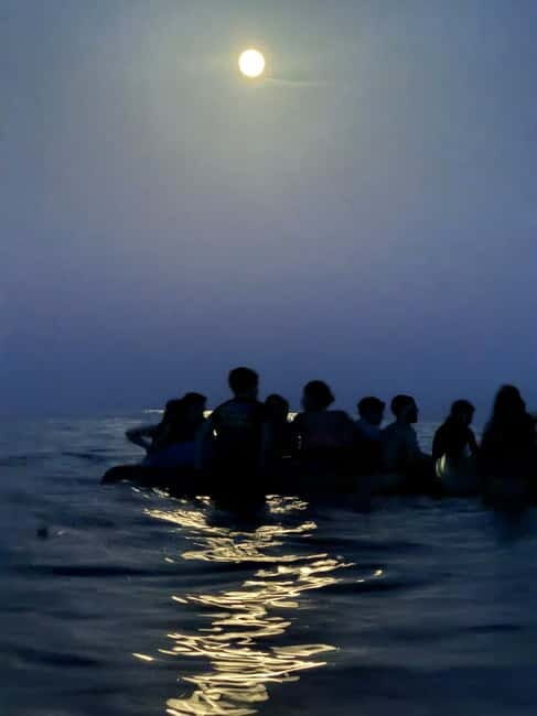 Night Kayak or Paddle Surfing Excursion - What to Expect During the Experience