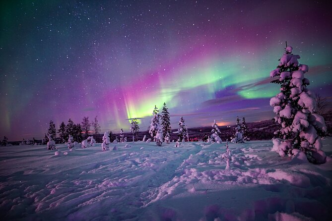 Night Snowshoeing Adventure under the Northern Lights - An Exploration of Arctic Night on Snowshoes