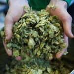Night time tour of Harstad Craft Brewery - Exploring Harstad Craft Brewery: What to Expect