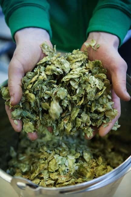 Night time tour of Harstad Craft Brewery - Exploring Harstad Craft Brewery: What to Expect