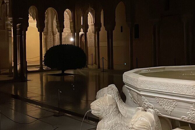 Night tour of the Alhambra and the Nasrid Palaces - Who Will Love This Tour?