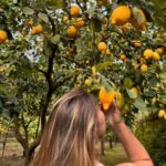 Nonno Mario Lemon Tour - Authenticity and Value