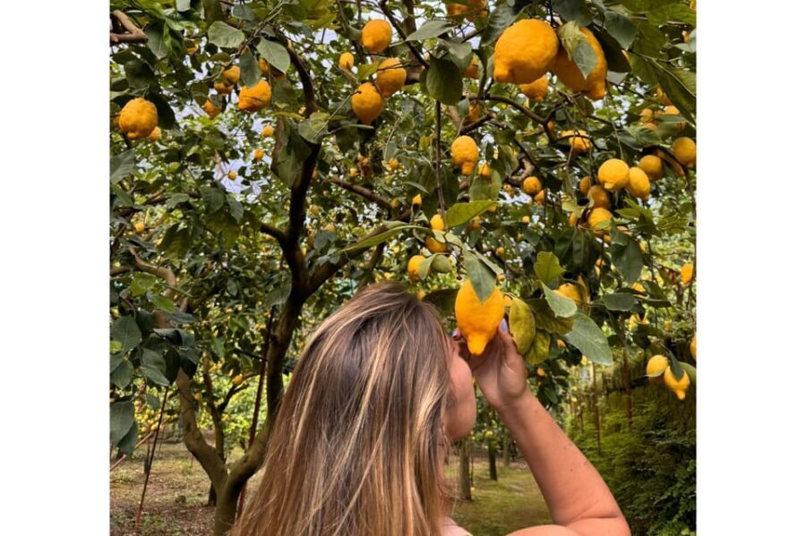 Nonno Mario Lemon Tour - Authenticity and Value