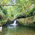 Nordeste/Northeast coast FULL DAY Waterfalls Hike - Analyzing the Experience: What Makes It Stand Out