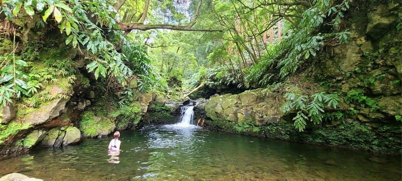 Nordeste/Northeast coast FULL DAY Waterfalls Hike - Analyzing the Experience: What Makes It Stand Out