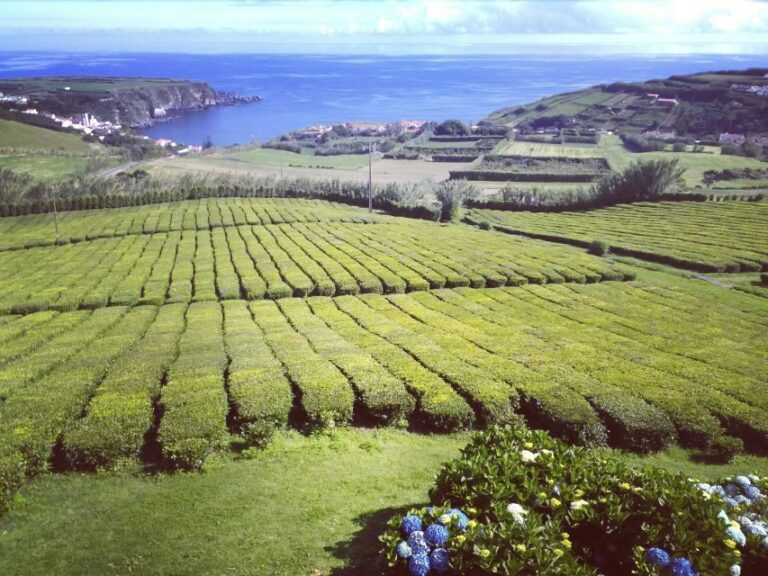 Nordeste Private Tour (2 people) - Discovering São Miguel’s Nordeste: Genuine Natural Beauty
