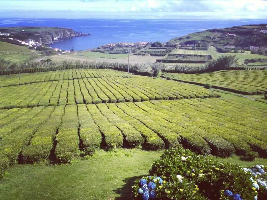 Nordeste Private Tour (2 people) - Discovering São Miguel’s Nordeste: Genuine Natural Beauty