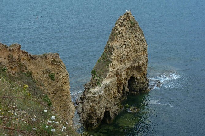 Normandy D Day Landing Customized Private Tour from Paris - The Experience: What It’s Like on Tour